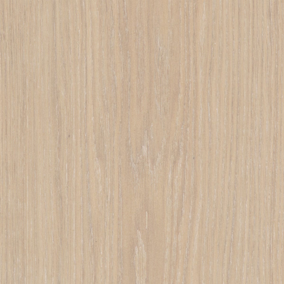 VL104 Powder White Oak - Mazon Flooring